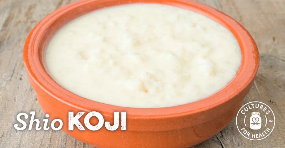 Shio Koji Recipe - Cultures For Health