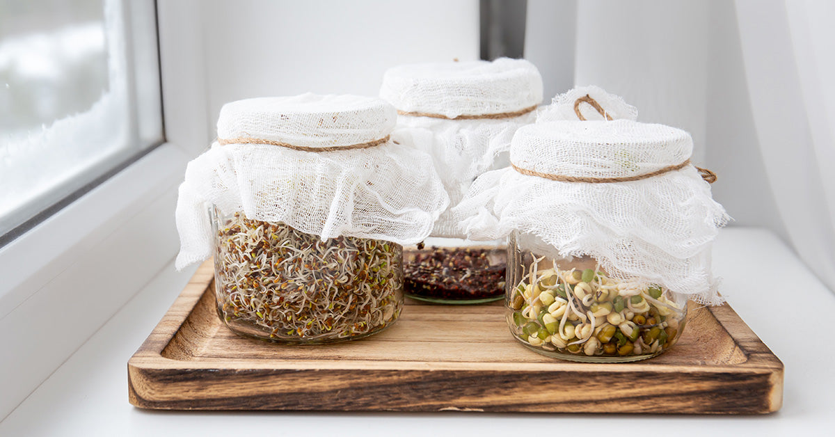 Sprouting Seeds Recipes - Cultures For Health