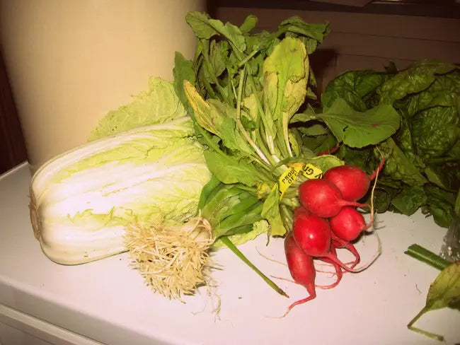 Blog Post: Making Kimchi with Seasonal Vegetables - Cultures For Health