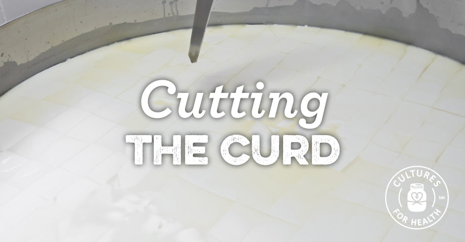 Cutting The Curd - Cultures For Health