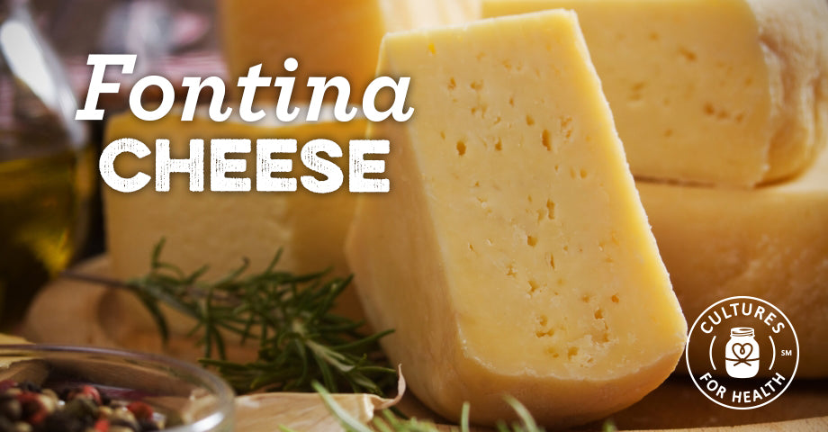 Fontina Recipe - Cultures For Health