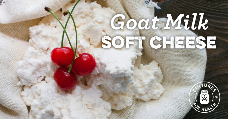 Goat Milk Soft Cheese Recipe - Cultures For Health