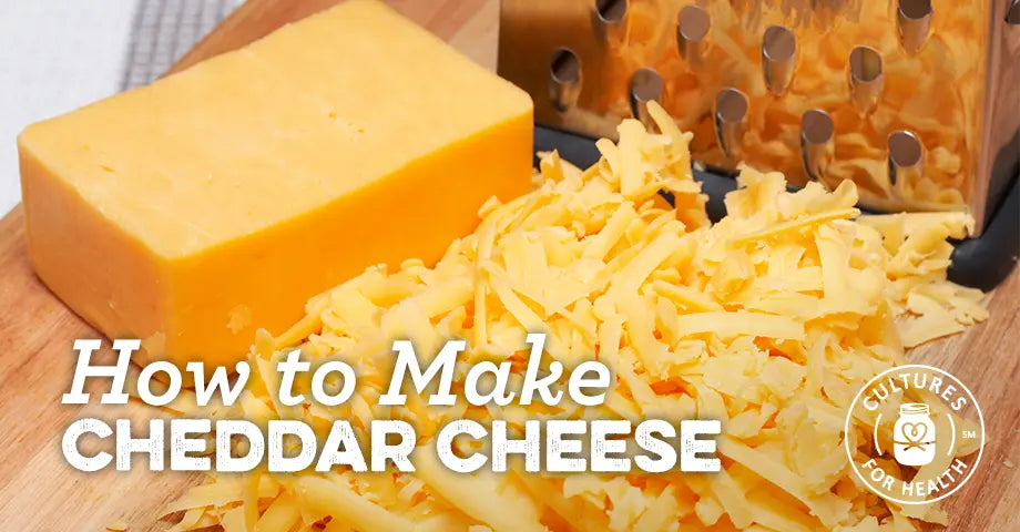 Cheddar Cheese Recipe | How To Make Cheese At Home - Cultures For Health