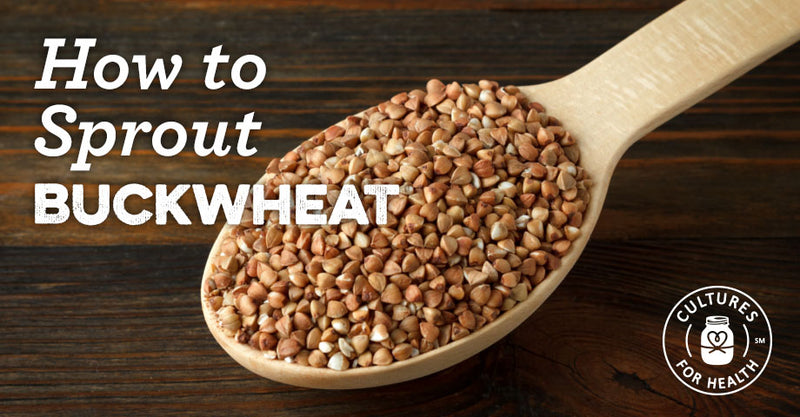 How To Sprout Buckwheat - Cultures For Health