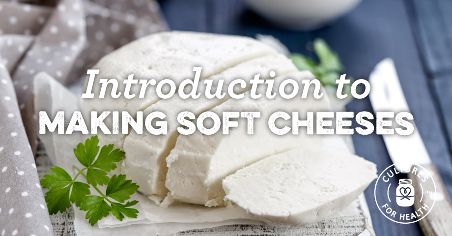 Introduction To Making Soft Cheeses - Cultures For Health