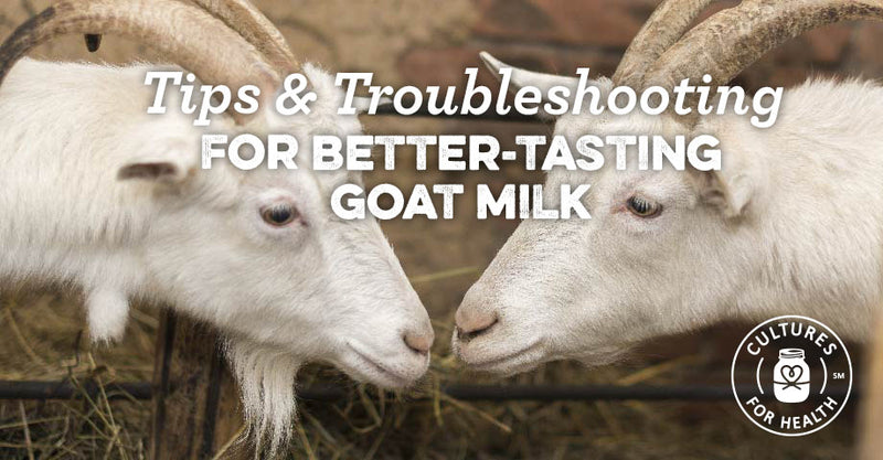 What Does Goat Milk Taste Like | Learn More About The Taste Of Goat ...