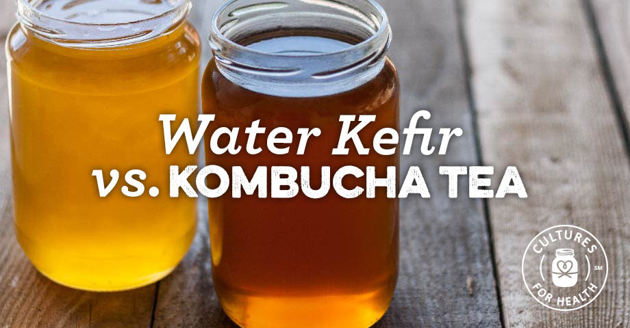 Kombucha vs Water Kefir | Learn the Difference Between Kefir vs Kombucha - Cultures For Health