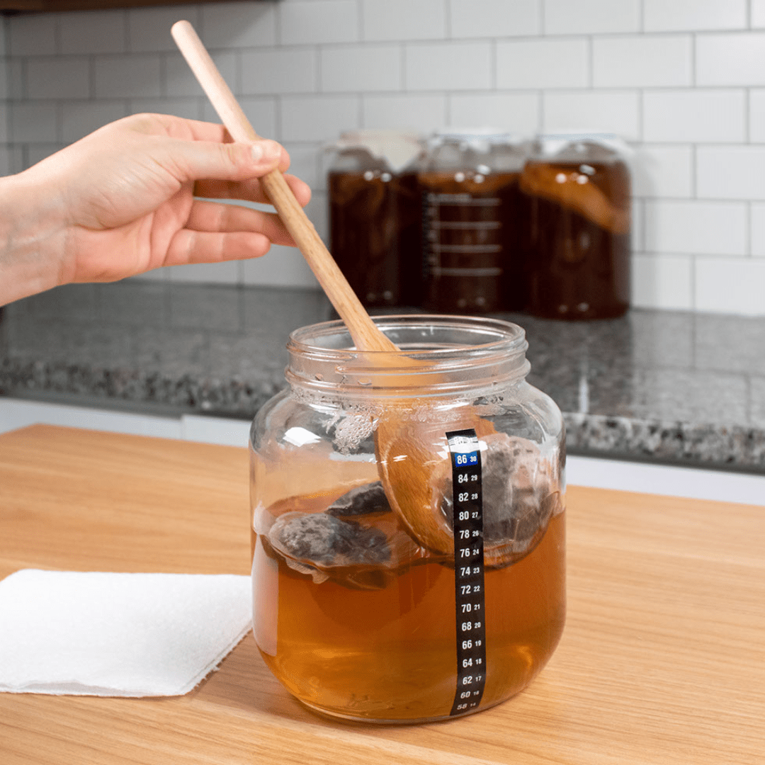 Kombucha Drink Kombucha Starter Kit – Crafty Cultures Kombucha Synergy