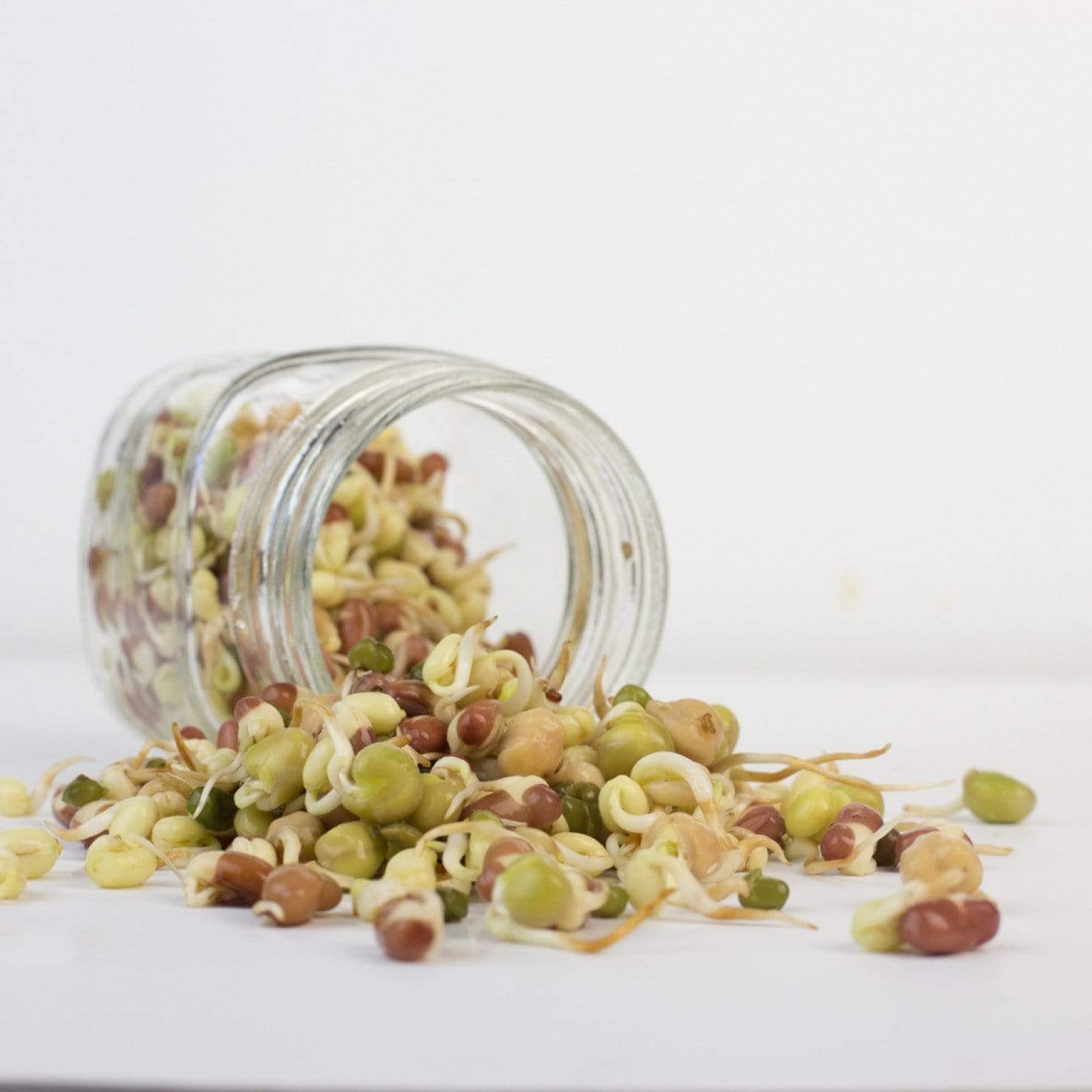 How To Sprout Soy Beans - Cultures For Health